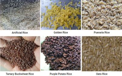 China Artificial Rice Production Line Fortified with CE Certification Rice Making Machine for sale