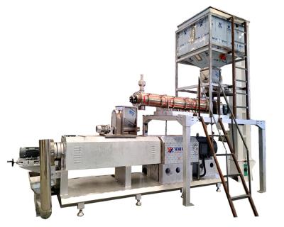 China Complete Fish Feed Pellet Production Line Automatic Technology for Floating Food Types for sale