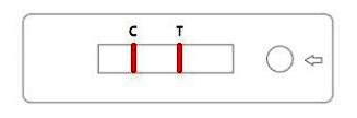 SARS-COV-2 (COVID-19) World's Fastest Antigen Testing Kit - RESULTS IN 5 SECONDS!!! 4