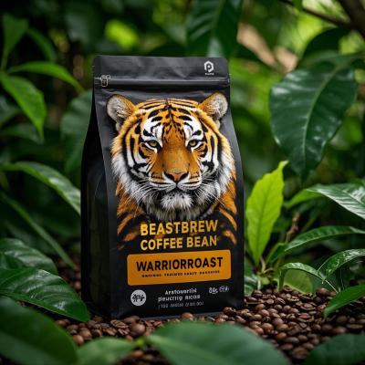 China Digital Printed Custom Design 500g 1lb Coffee Powder Bag Coffee Bean Packaging Bag with Valve for sale