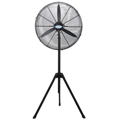 Cina fan industriali a 30 pollici del pavimento di 750mm con le 3 pale di alluminio in vendita