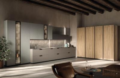 Chine Armoire de cuisine haut de gamme et meubles légers de luxe fabriqués en Chine pour le ménage à vendre