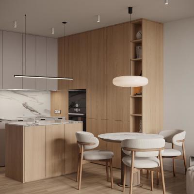 Cina Unità di cucina Hotel Piccola cucina Appartamento cucina con illuminazione a led in vendita