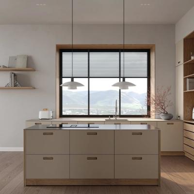 Cina Prezzo di fabbrica personalizzazione Melamina di costo-efficace stile di finitura cucina Fro casa individuale in vendita