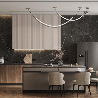 Cina Ingrosso Moderno Lacca Finitura Armadi da cucina per salotto Armadio con isole in acciaio inossidabile Design semplice in vendita