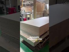 FANIAO Foshan New Factory