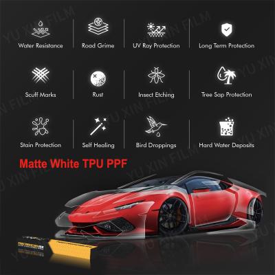 Cina Pellicola protettiva per vernice per veicoli con logo personalizzato opaca Lubrizol TPH PPF Roll Car Vinyl Wrap in vendita