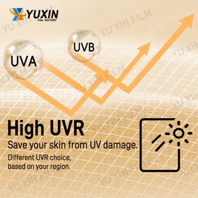 China TPU Self Healing Color Change Anti-Yellow Anti-Dust Clear PPF Hydrophobic Car Paint Protection Film for sale