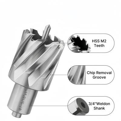 China 12 - 100mm  Hss Annular Cutter Tin Coating Steel Structures Industrial Core Cutters for sale