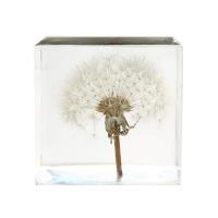 China cubic Acrylic resin paper weight with custom embedding inside for sale