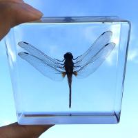 China cubic Acrylic resin paper weight with custom embedding inside for sale