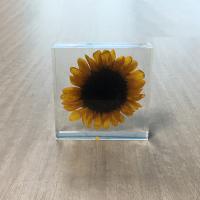 China Custom Sunflower Paperweight Acrylic Globe Paperweight for sale