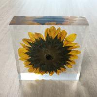 China Custom Sunflower Paperweight Acrylic Globe Paperweight for sale