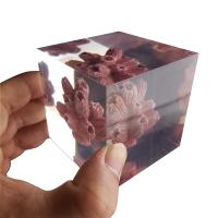 China Transparent resin cube brick paperweight with Coral inside for sale