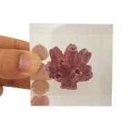 China Transparent resin cube brick paperweight with Coral inside for sale