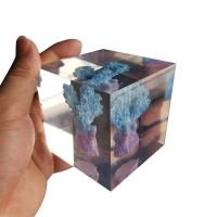 China Transparent resin cube brick paperweight with Coral inside for sale