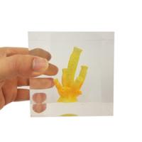 China Transparent resin cube brick paperweight with Coral inside for sale