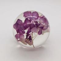 China Real Flower Paperweight Dia80mm With Hydrangea Inside for sale