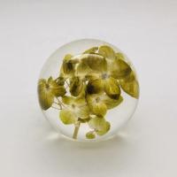 China Real Flower Paperweight Dia80mm With Hydrangea Inside for sale