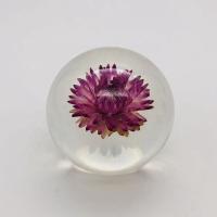 China Real Flower Paperweight Dia80mm With Hydrangea Inside for sale