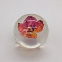 China Real Flower Paperweight Dia80mm With Hydrangea Inside for sale