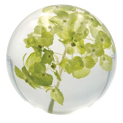Cina Chiaro fermacarte del fiore della natura, palla floreale del fermacarte della resina in vendita