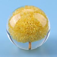 China Dia80mm Dia90mm Flower Paperweight Clear Solid Epoxy Resin Sphere for sale