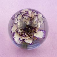 China Dia80mm Dia90mm Flower Paperweight Clear Solid Epoxy Resin Sphere for sale