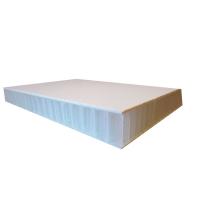 China FRP Honeycomb Sandwich Panel 20mm 25mm 30mm Fiberglass Composite for Container Wall for sale