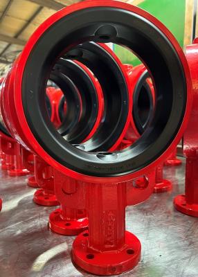 Cina FKM legato Seat per le valvole a farfalla messe resilienti, DN25-DN600 in vendita