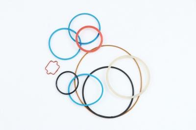 Κίνα Medical Grade Sealing Ring By Molding For Medical Testing Instruments προς πώληση