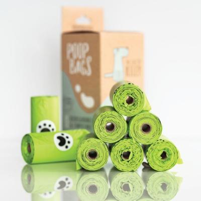 China Groene kleur 100% biologisch afbreekbaar, composteerbaar, milieuvriendelijk Te koop