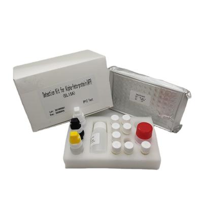 Cina Alpha Fetoprotein Elisa Detection Kit quantitativa AFP in siero umano in vendita