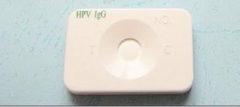Cina Virus rapido Hpv di Kit Medical Diagnostic Human Papilloma della prova dell'antigene di iso in vendita