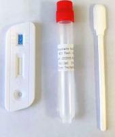 China INVBIO CE Approved HCV Saliva Rapid Test Kit 25 Tests per Box High Accuracy 99.8% Sensitivity for sale