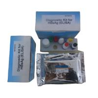 China CE Certified ELISA Rapid Test Kit for HBsAg Veterinary Melamine 96 Tests for sale