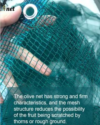 중국 헥사곤 올리브 수확망 30gm - 200gm 몰베리 수확망 판매용