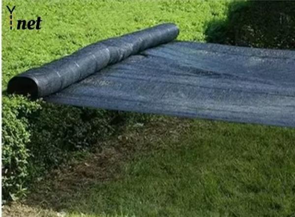 Quality 100% HDPE Agro Shade Net 2*100m Agriculture Shade Cloth Black for sale