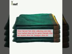 Hexagon Olive Harvest Net 30gsm - 200gsm Mulberry Harvesting Net