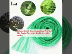 Agricultural Bird Protection Mesh Corrosion Resistant Outdoor Bird Netting Green