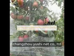 Anti Hail Nets for Apple Tree Agriculture Anti Hail Net Anti-hail Net With Pillars