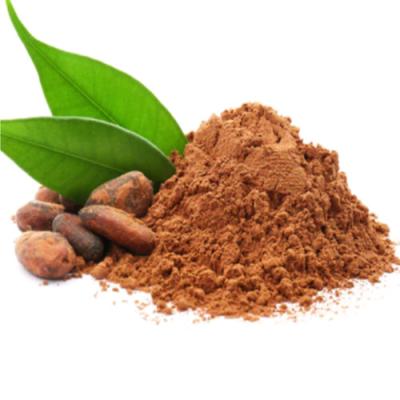 China 25kg Additive Free Dutch Cocoa Ingredients Powder Alkalized For Baked Cakes Cookie for sale