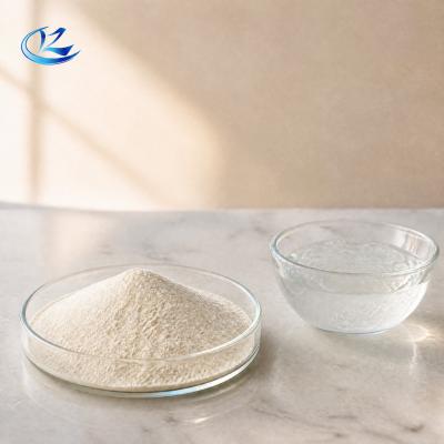China Food Grade Sodium Alginate Powder – Viscosity Stabilizer for Ice Cream, Jelly & Sauces for sale