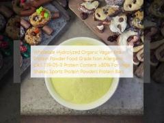Wholesale Hydrolyzed Organic Vegan Pea Protein Powder Food Grade Non Allergenic CAS 139-05-9 Protein Content ≥80% For Vega Shakes Sports Protein Powders Protein Bars