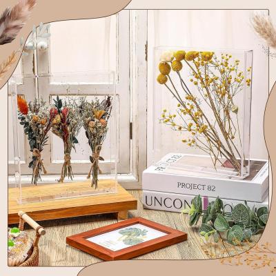 China Receptor de exposição de caixa de flores acrílica para colocação de flores e plantas à venda