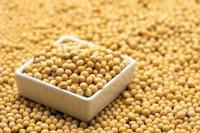 China Coffee Bean Granule Pouch Packing Machine Pneumatic / Electric Driven Automatic for sale