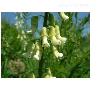 China natural plant extract Oxymatrine / Marine high quality for sale