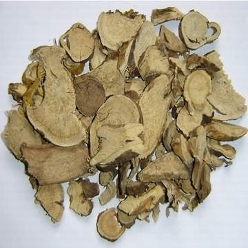 China GMP manufacture Tatal Matrine plant extract 10% natural for sale