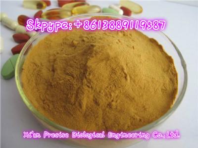 China HoneySuchle Flowers Extract plant extract  Anti-inflammatory, anti-bacterial for sale