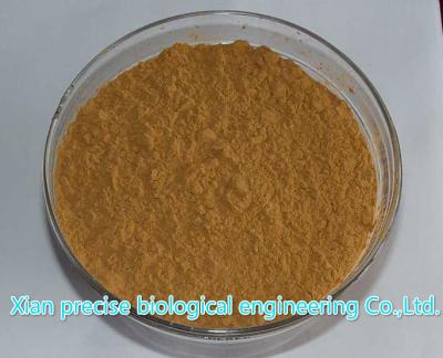 China Guarana extracts   natural plant extracts  Guarana Seed P. E. for sale
